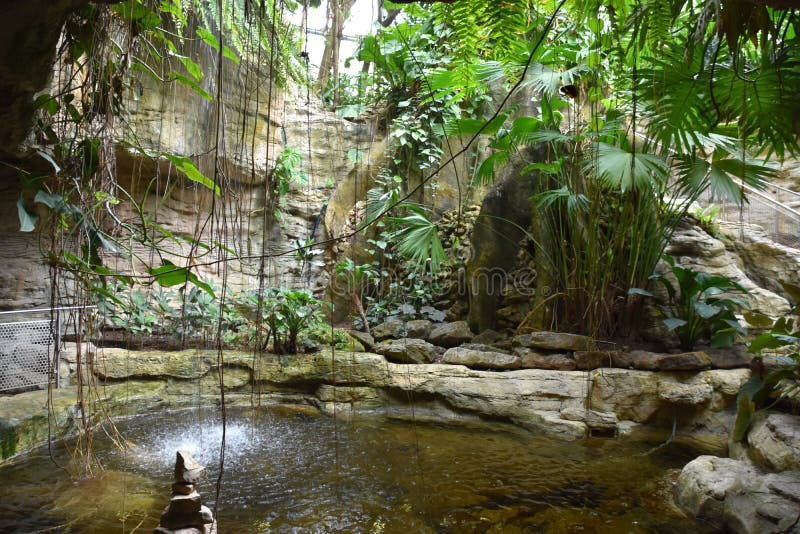 Houston Museum of Natural Science in Texas Editorial Image - Image of ...