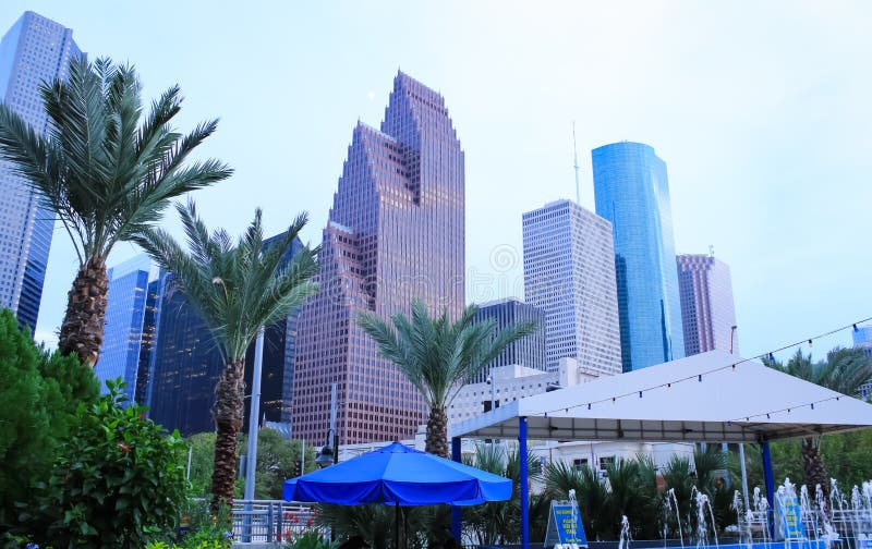 Houston Palms editorial stock image. Image of city, blue - 261749574