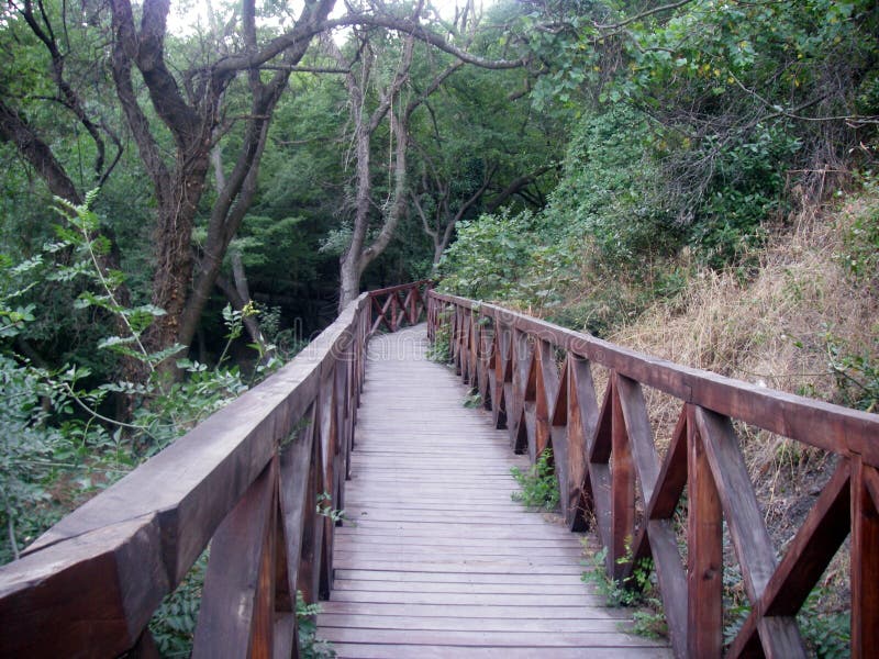 Houten Brug stock foto. Image of bruggen, groenen, brug - 98306850