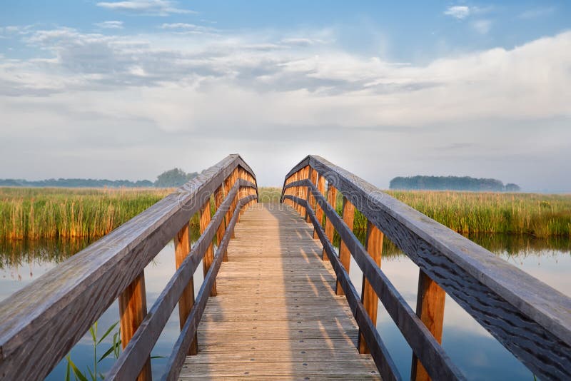 Houten brug door rivier stock afbeelding. Image of weide - 32416101
