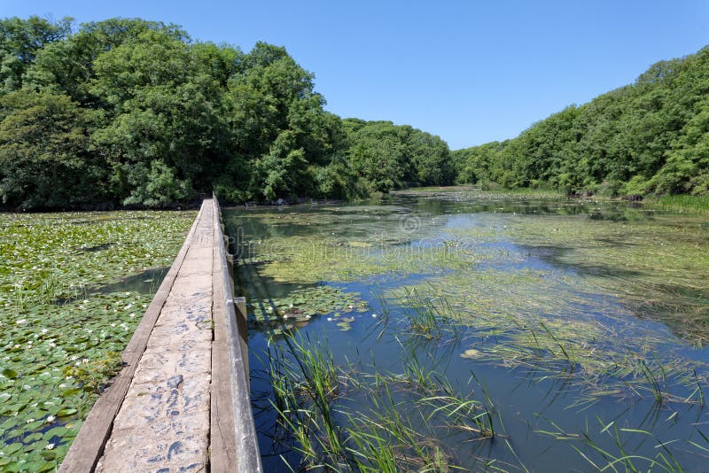 Houten Loopbrug Over Lelievijver Stock Foto - Image of zomer, houten ...