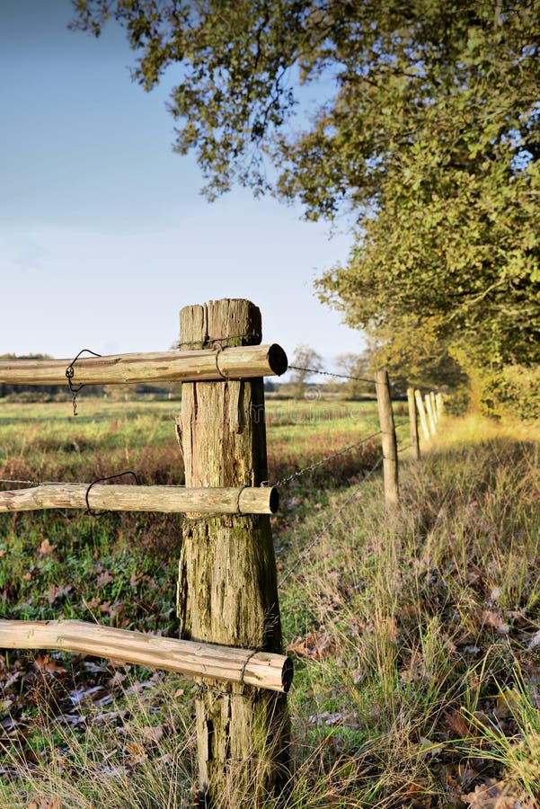 Houten omheining stock foto. Image of weide, open, nave - 35200226