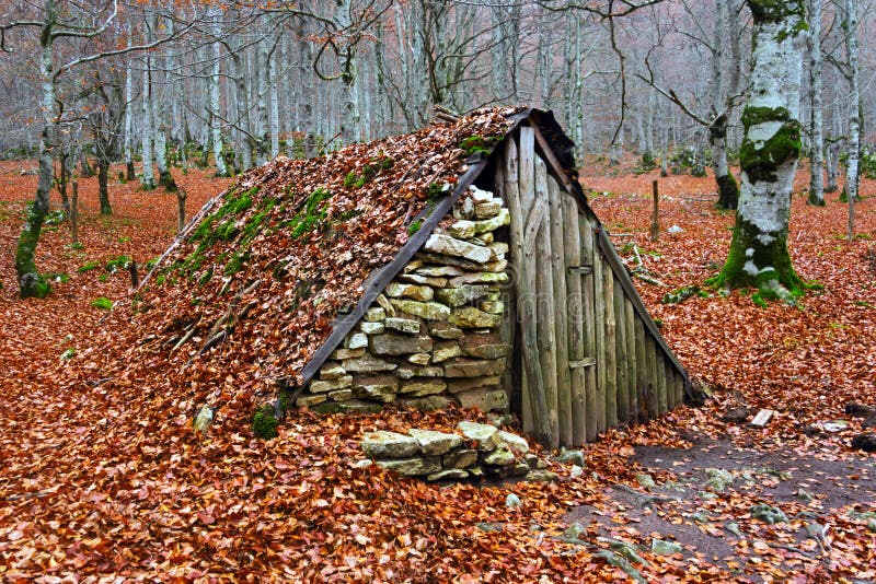 Hovel in autumn stock image. Image of forest, farming - 27790067