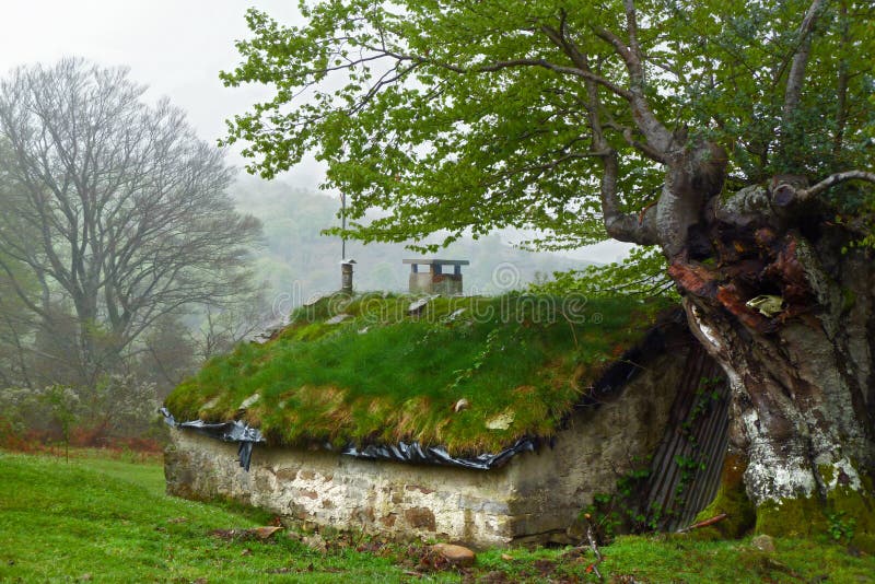 Hovel in the forest stock image. Image of farmhouse, rustic - 27893449