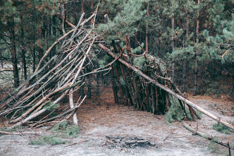 Hovel in the forest stock image. Image of farmhouse, rustic - 27893449