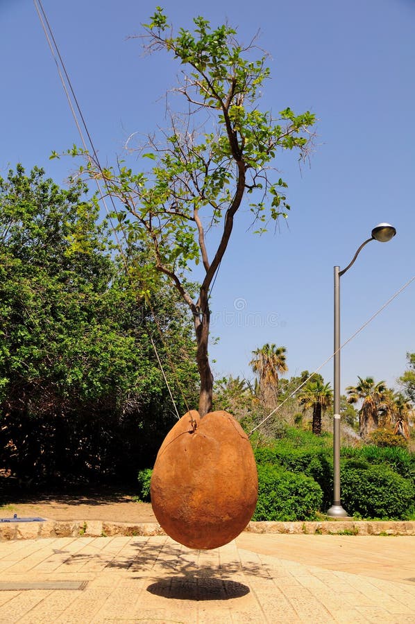 Hovering Orange Tree. Jaffa. Israel. Stock Photo - Image of holyland ...