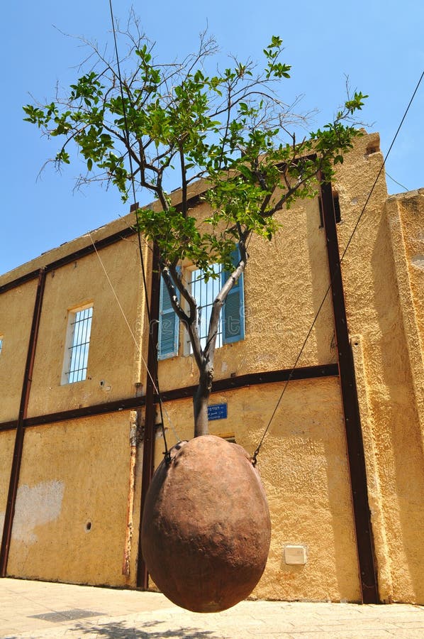 Hovering Orange Tree. Jaffa. Israel. Stock Photo - Image of holyland ...