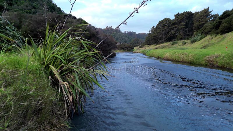 Hovering Over a River in New Zealand Stock Footage - Video of hovering ...