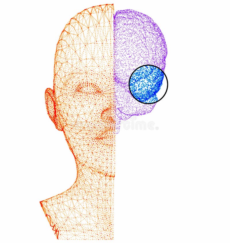 How the Brain Works. Side View of the Brain. Synapses and Neurons ... How the Brain Works. Side View of the Brain. Synapses and Neurons ...