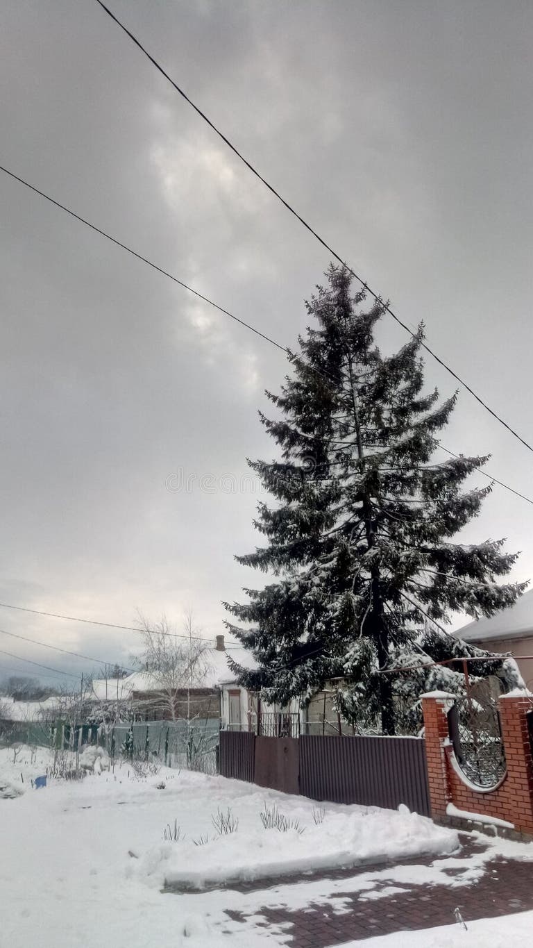 246 How Do You Like Wednesday Stock Photos - Free & Royalty-Free Stock ...