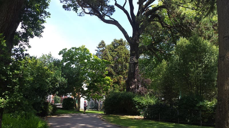 Dunvant Stock Photos - Free & Royalty-Free Stock Photos from Dreamstime