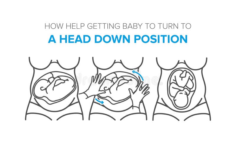 Mother Pelvic Stock Illustrations – 62 Mother Pelvic Stock ...