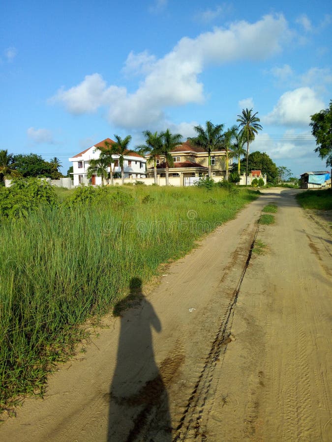 How a House with Coconut Trees Look Like from Far Distance Stock Image ...