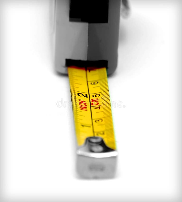 3,658 How Long Ginipig Stock Photos - Free & Royalty-Free Stock Photos ...