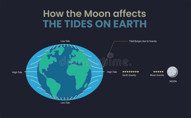 Earth Moon Tidal