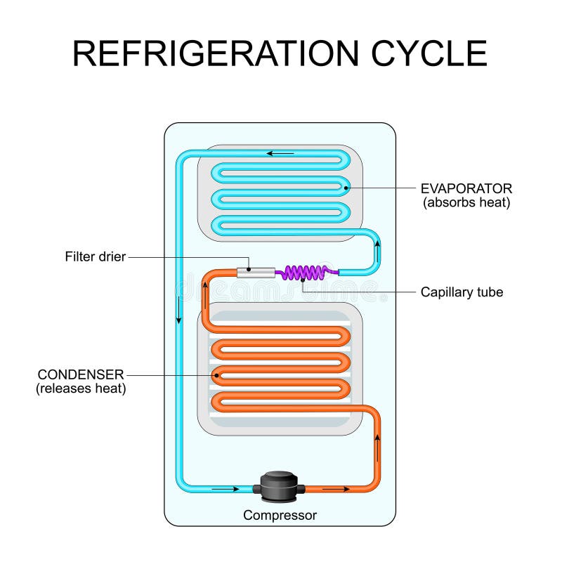 How Refrigerator Works. Refrigeration Cycle Stock Vector - Illustration ...