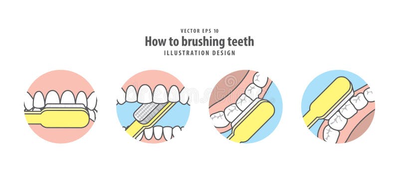 How To Brushing Teeth Illustration Vector on Blue Background. Stock ...