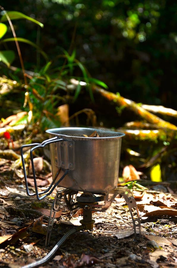 How To Cook Flower Stock Photos - Free & Royalty-Free Stock Photos from ...