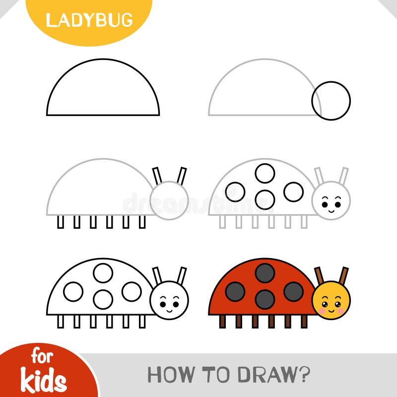 How To Draw A Ladybug For Kids