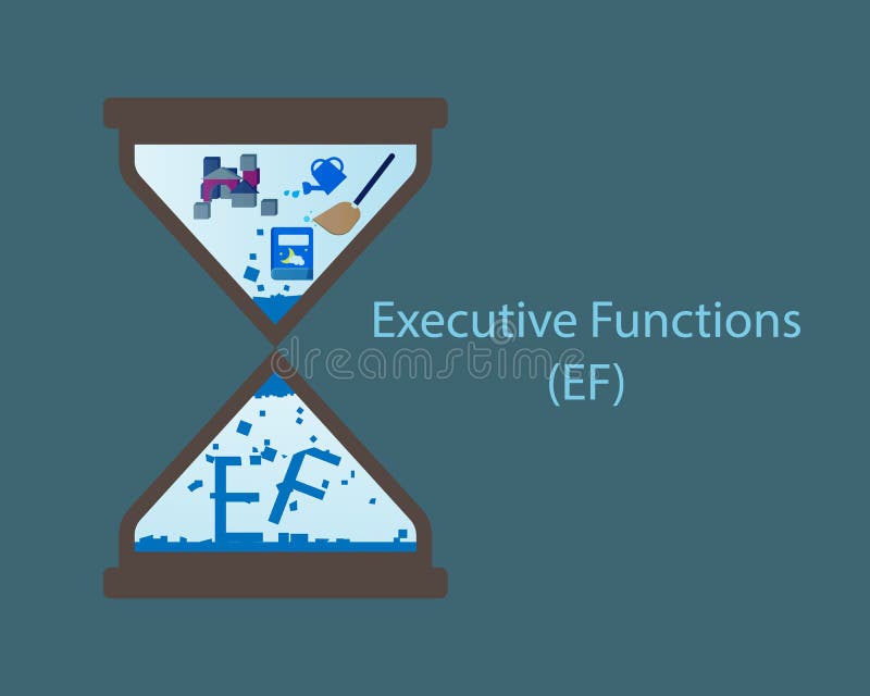 How To Improve Executive Function EF for Children Vector Stock ...