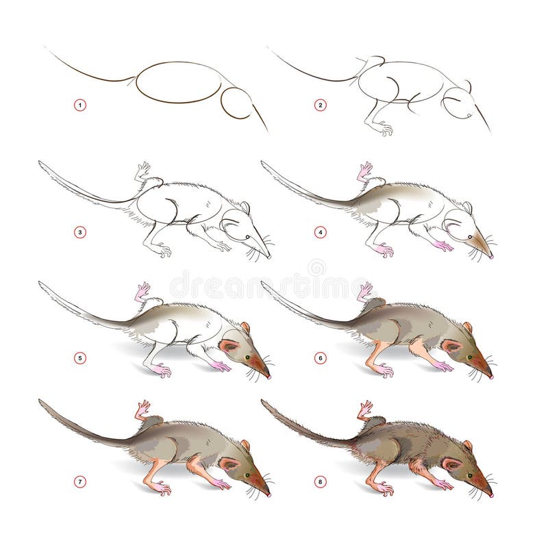 Learn Draw Step Step Stock Illustrations – 1,585 Learn Draw Step Step ... Learn Draw Step Step Stock Illustrations – 1,585 Learn Draw Step Step ...
