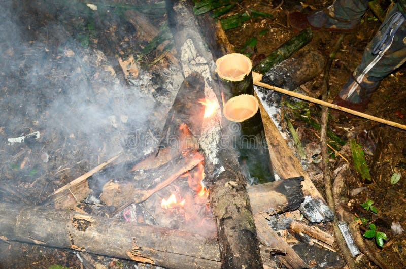 How To Live in the Forests and Livelihoods. Stock Image - Image of live ...