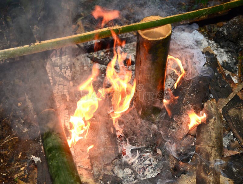 How To Live in the Forests and Livelihoods. Stock Image - Image of safe ...