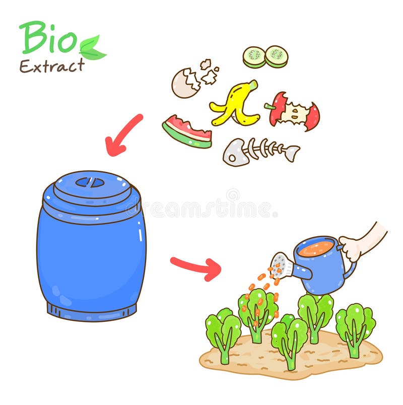How To Make Bio-Fermented Water. Stock Illustration - Illustration of ...