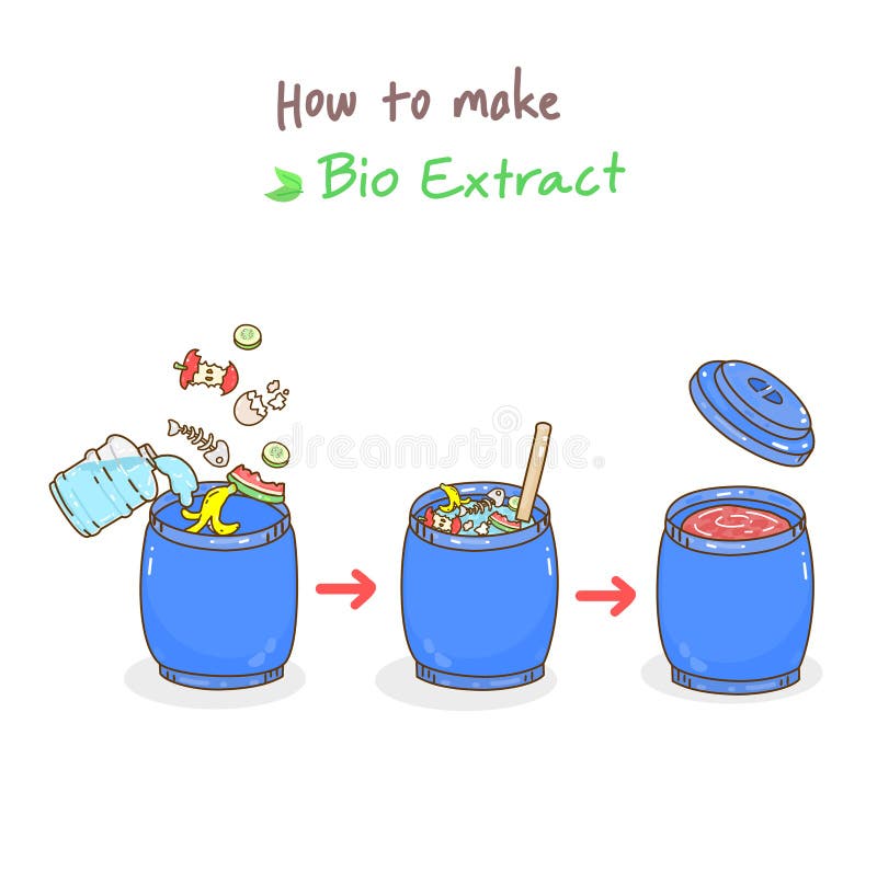 How To Make Bio-Fermented Water. Stock Vector - Illustration of summer ...