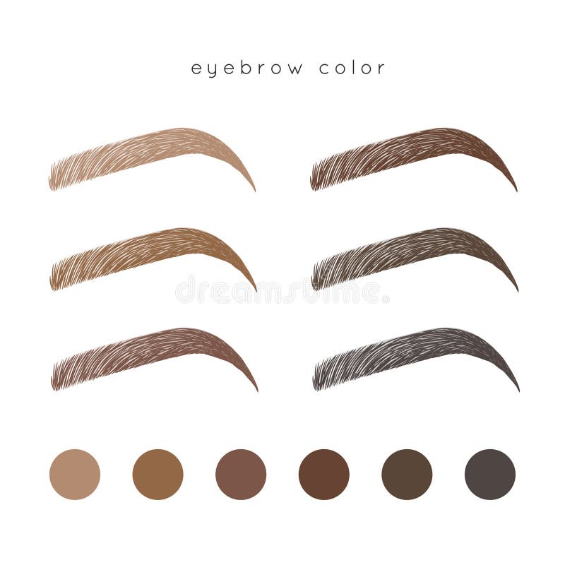Creative Vector Illustration of Human Skin Tone Color Palette Set ...