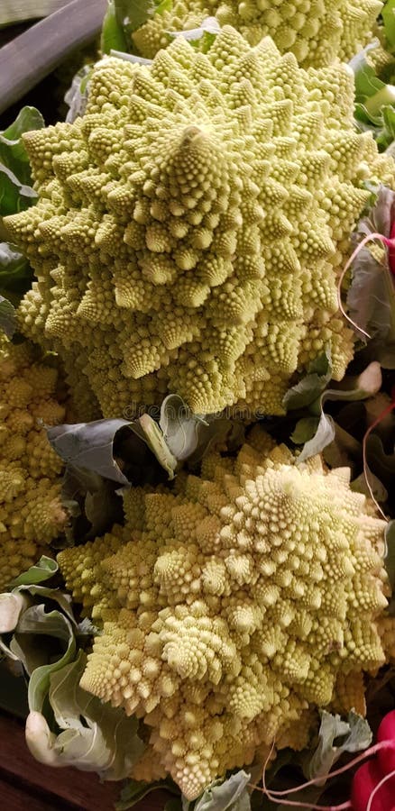 Star Veggie stock image. Image of world, shape, create - 114322491