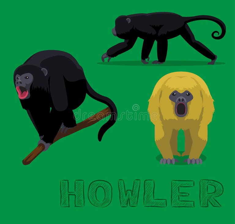 Howler Monkey Stock Illustrations – 523 Howler Monkey Stock ...