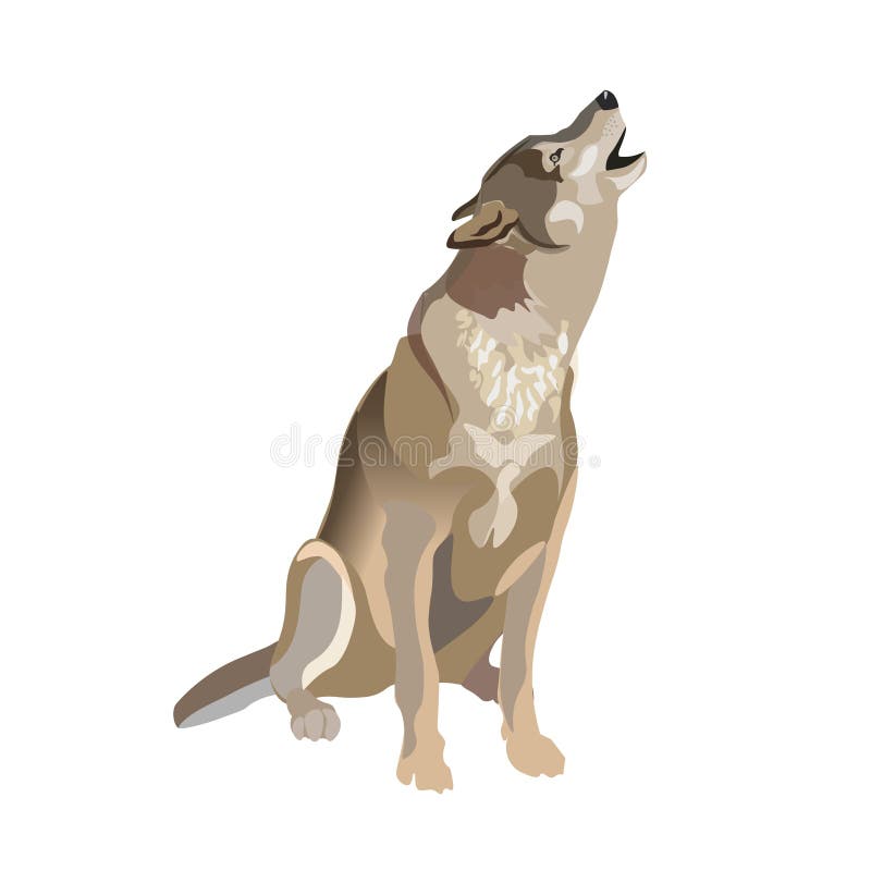 Howling Wolf Sitting Vector Stock Illustrations – 91 Howling Wolf ...