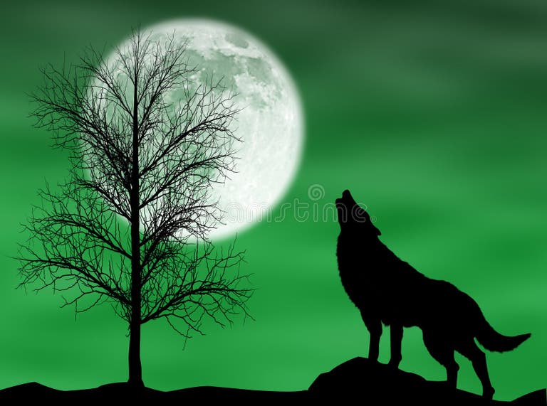 Wolf Habitat Stock Illustrations – 1,989 Wolf Habitat Stock ...