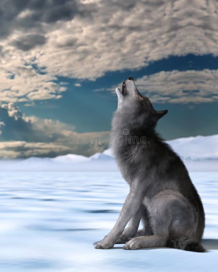 Howling Wolf Stock Illustrations – 6,935 Howling Wolf Stock ...