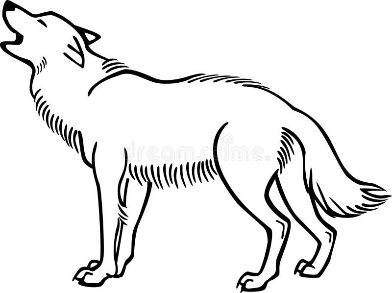 Simple Wolf Drawings