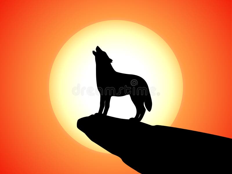 Howling Wolf Stands on a Rock at Sunset Stock Vector - Illustration of ...