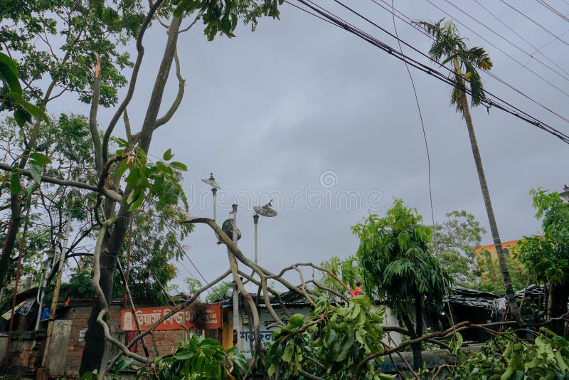 Super Cyclone Amphan, West Bengal, India Editorial Photography - Image ...