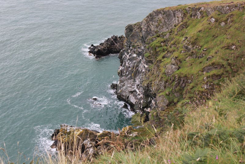 Howth - Ireland stock photo. Image of wild, howth, cliffs - 79256326