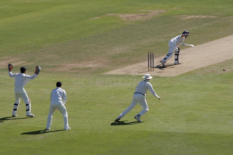 Howzat stock photo. Image of batting, oval, batsman, bail - 1222456