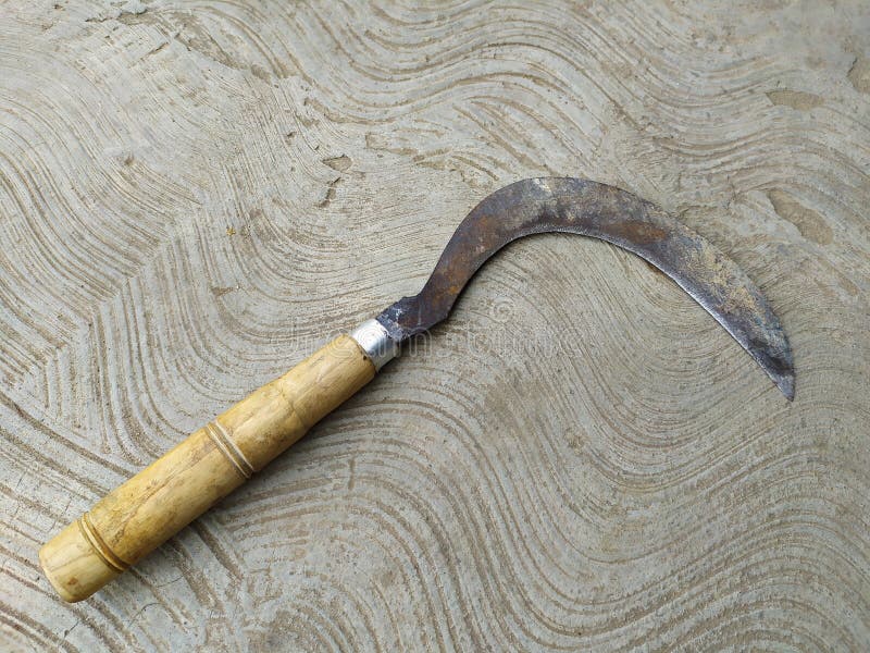 Hoz Utilizada Para Limpiar Pasto Y Otros Foto de archivo - Imagen de ...