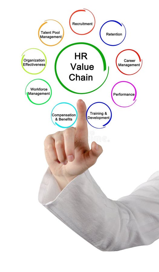 HR Analytic Value Chain stock image. Image of concept - 195254151