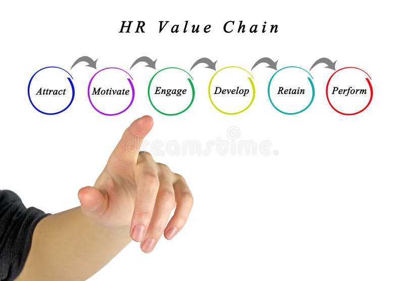 HR Value Chain stock photo. Image of management, concept - 145335826