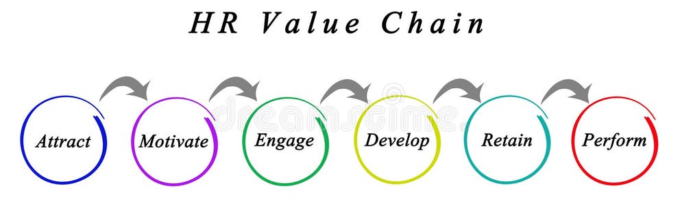 HR Value Chain stock illustration. Illustration of salary - 94370353
