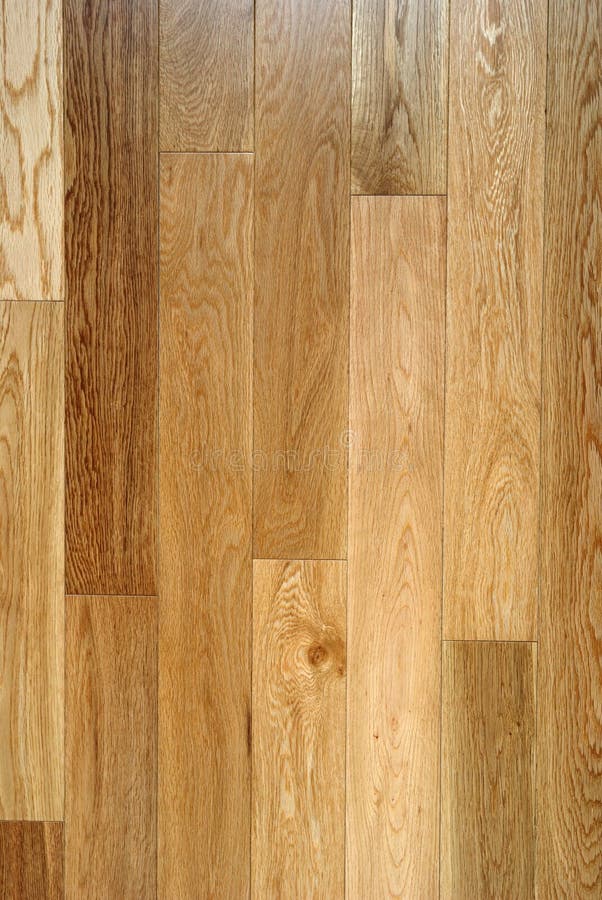 Hrast stock image. Image of design, plank, decor, sample - 7991231