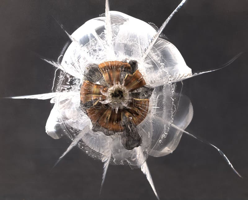 HRD Close Up of a Bullet S Impact 1 Stock Photo - Image of ammunition ...