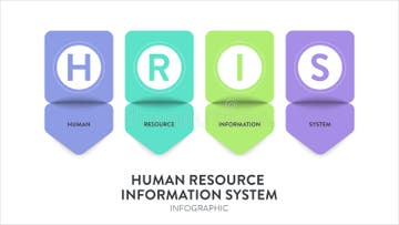 HRIS or Human Resource Information System Framework Strategy ...