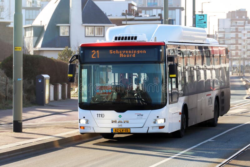 HTM S White City Buses for City Transport in the Hague Editorial Image ...