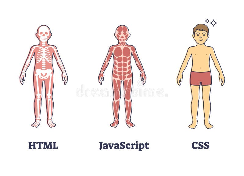 Html Css And Javascript Suit As Coding Layers Explanation Outline Diagram Stock Vector