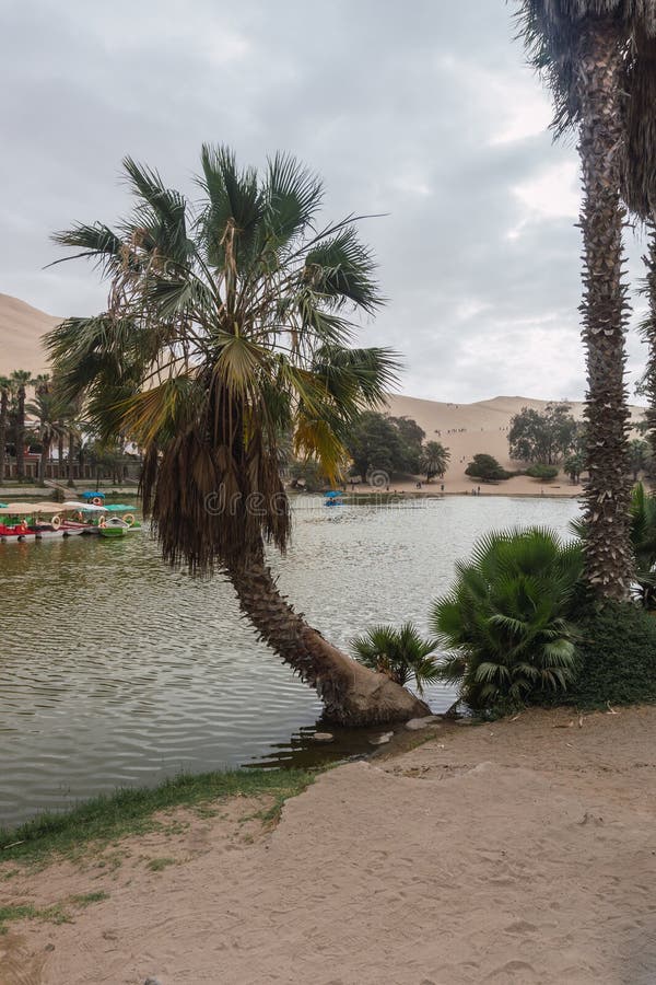 Huacachina Lagoon at Ica Peru Stock Photo - Image of reflection, south ...